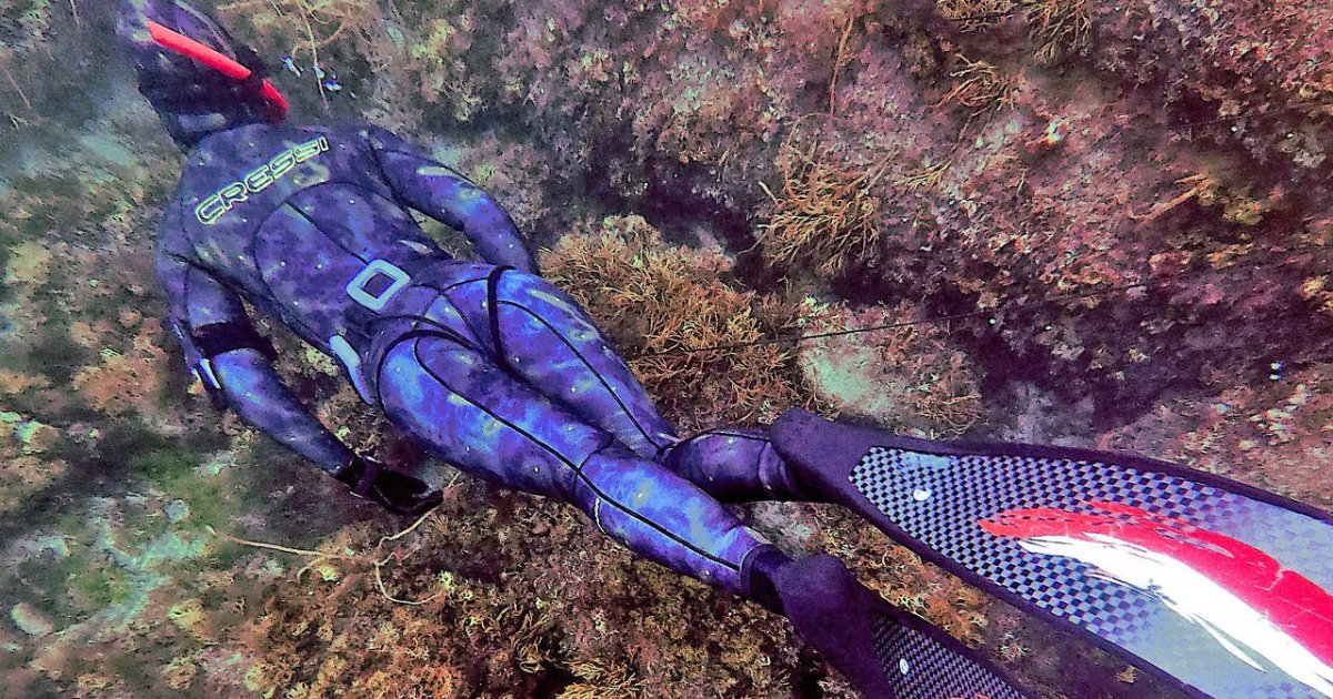 Présentation de l’association - FNPP