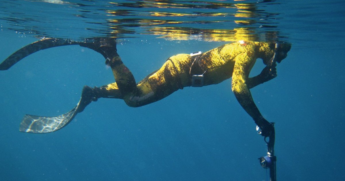 Qui sommes-nous ? - FNPP