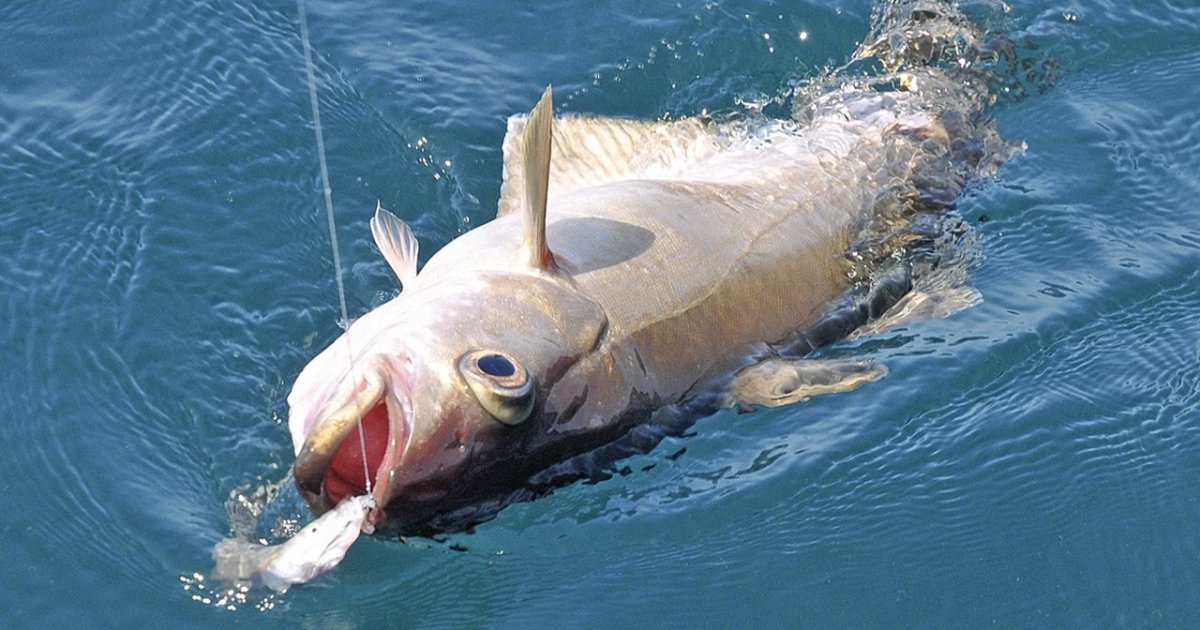 consultation du public : projet d’arrêté sur l’enregistrement ...